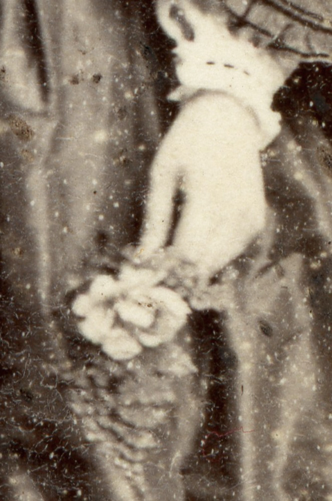 Lydia Clibborn Pike (?) in Cork, Ireland – Tokens of Companionship